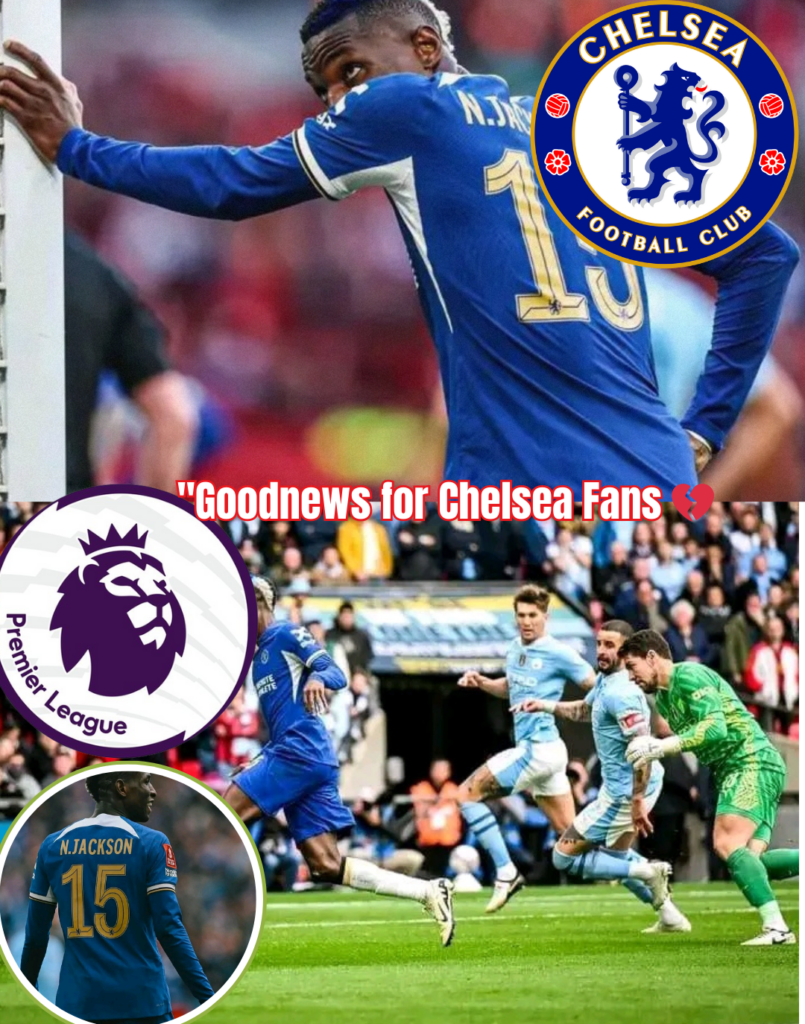 CHELSEA FLOP player Nicholas Jackson has left Stamford Bridge this ...