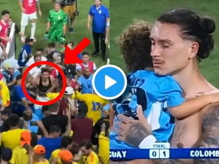 Shocking footage of Colombian fans fighting with Darwin Nunez after the ...